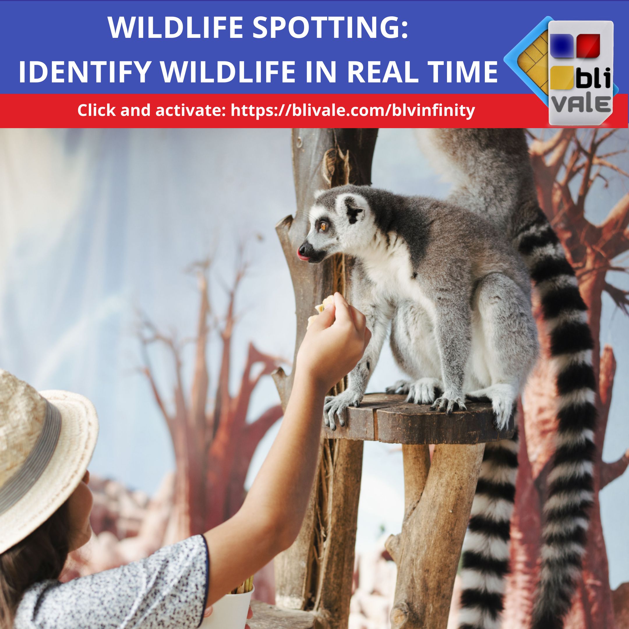 WILDLIFE SPOTTING: IDENTIFY WILDLIFE IN REAL TIME