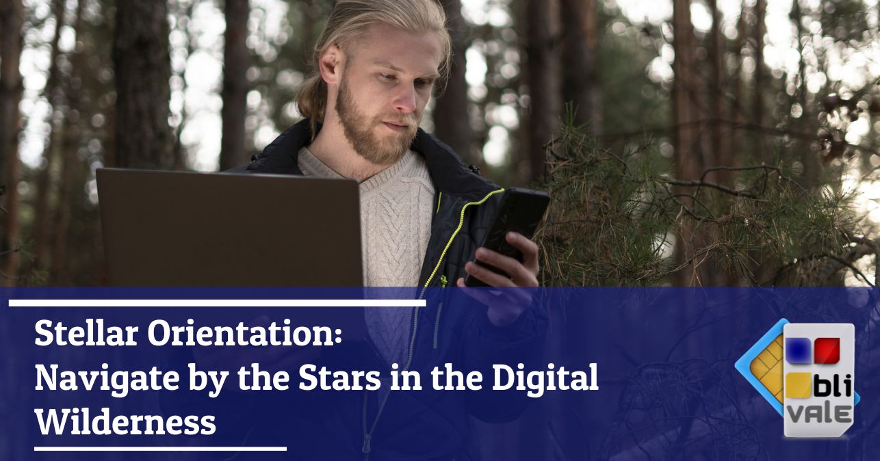 Stellar Orientation: Navigate by the Stars in the Digital Wilderness